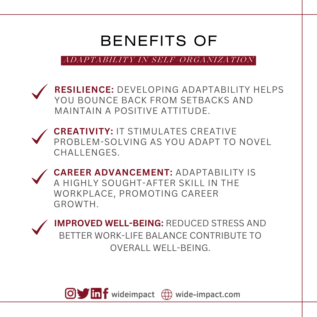 The Power of Self-Organization: Developing Adaptability Skills - Wide ...