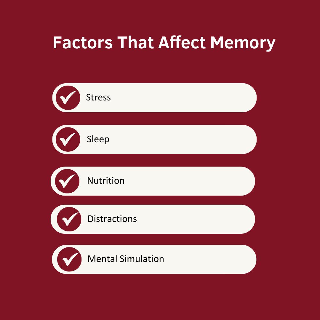 Brainpower Upgrade: Sharper Memory for Career Success - Wide Impact